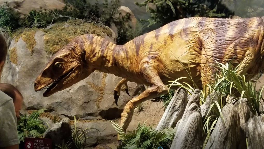 Dinosaur – Trinity Lutheran Church